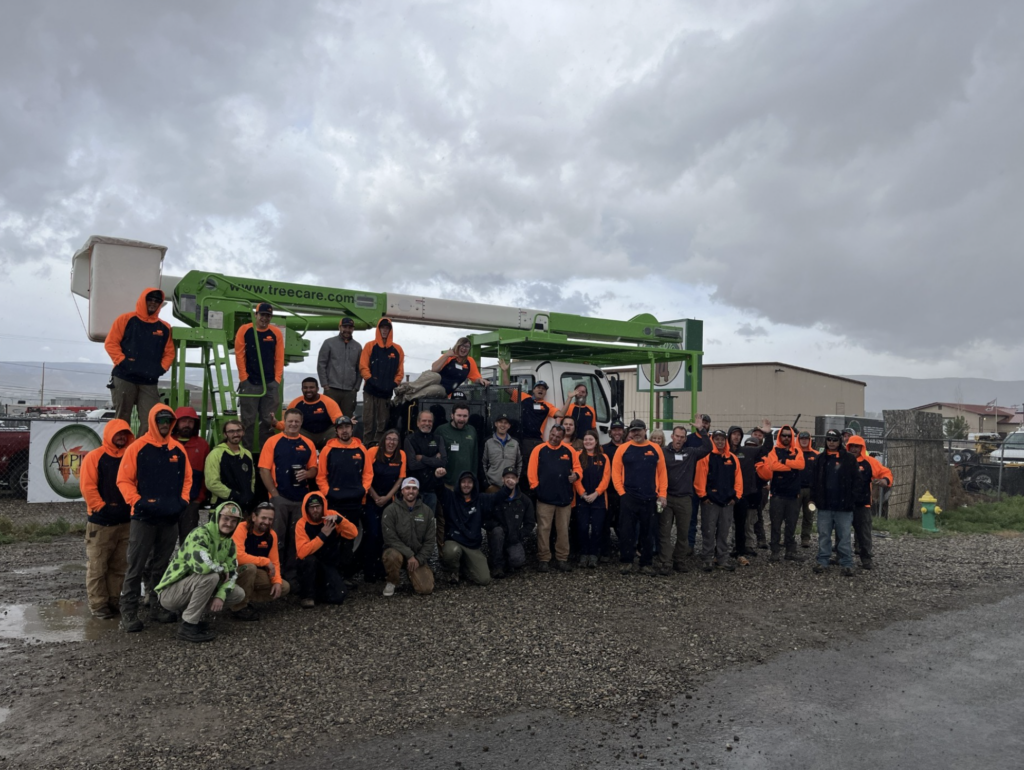Alpine Tree Service Has Joined Forces With SavATree - Alpine Tree ...